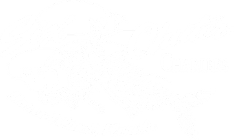 Home Page - Six Chuter Charters