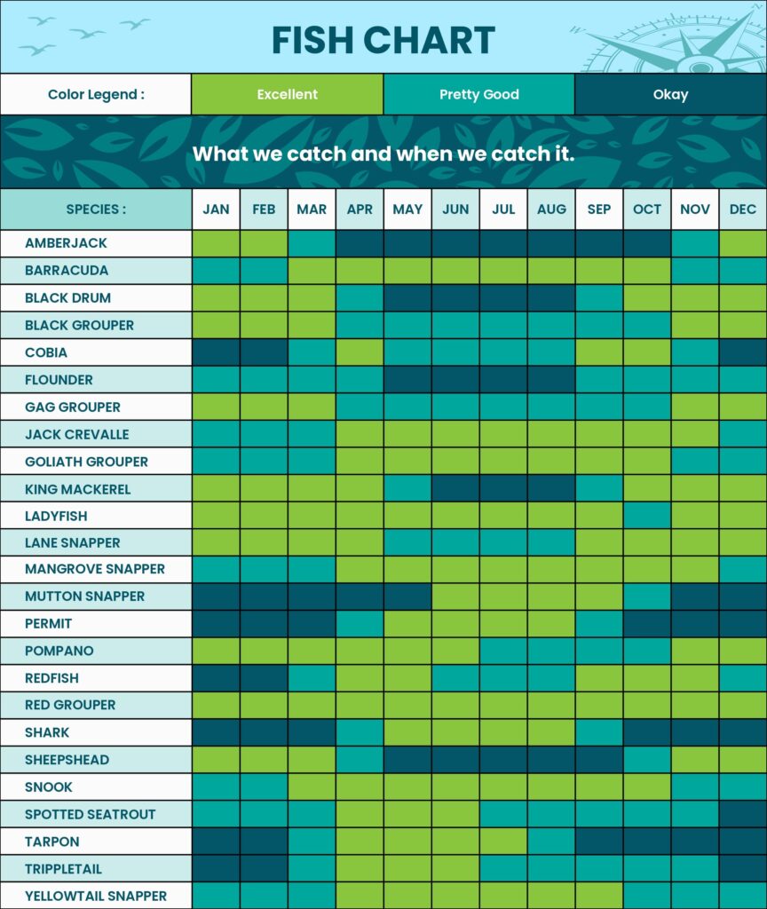 Fish Chart – Six Chuter Charters