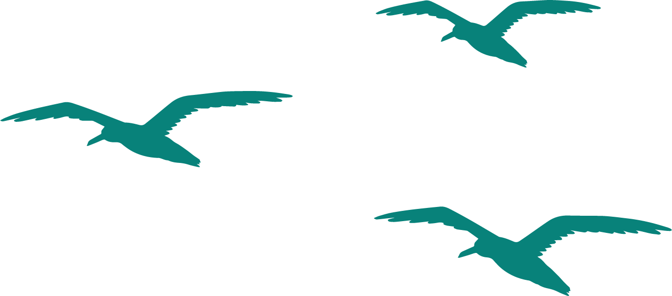 Gear Checklist - Six Chuter Charters