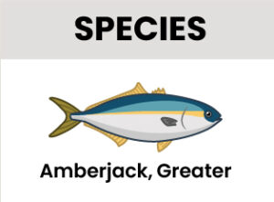 Fish Chart - Six Chuter Charters